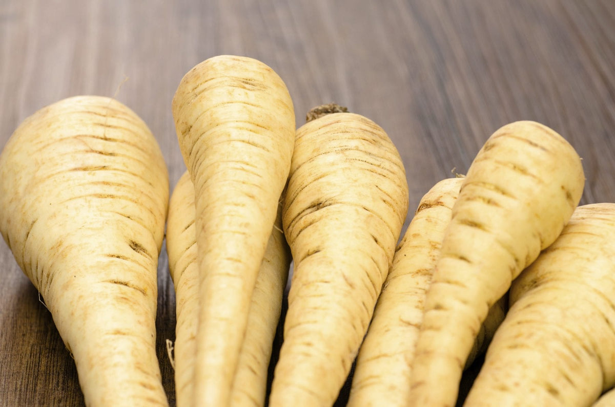 Root Vegetable Seeds - Carrots, Radishes, Beets, Parsnips