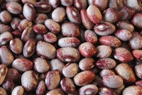 Amish Nuttle Dry Bean